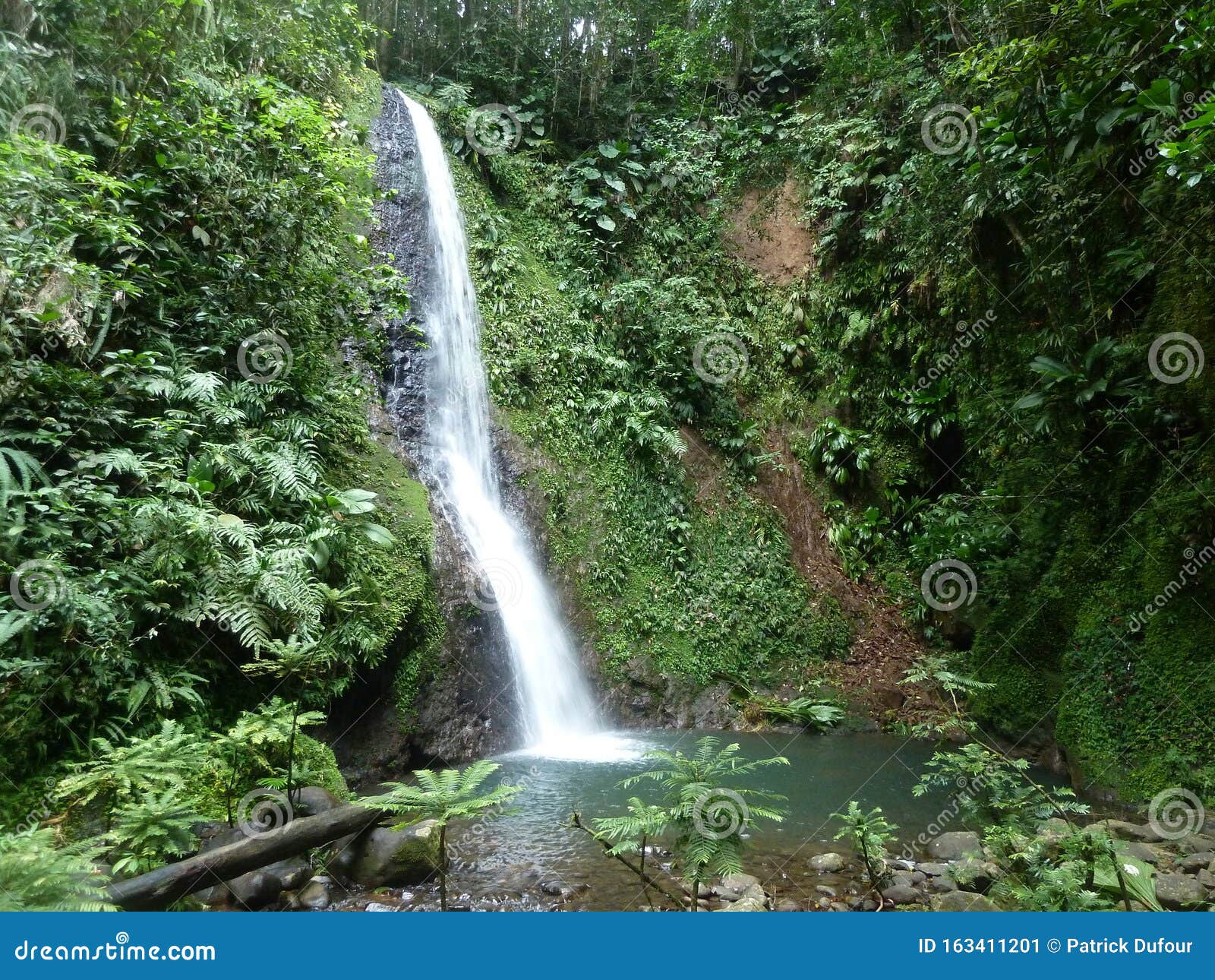 A Powerful Waterfall in the Rainforest Stock Image - Image of paradise ...