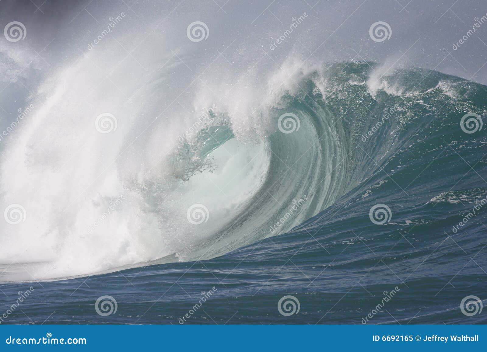 Powerful wave stock image. Image of kauai, pacific, curling - 6692165