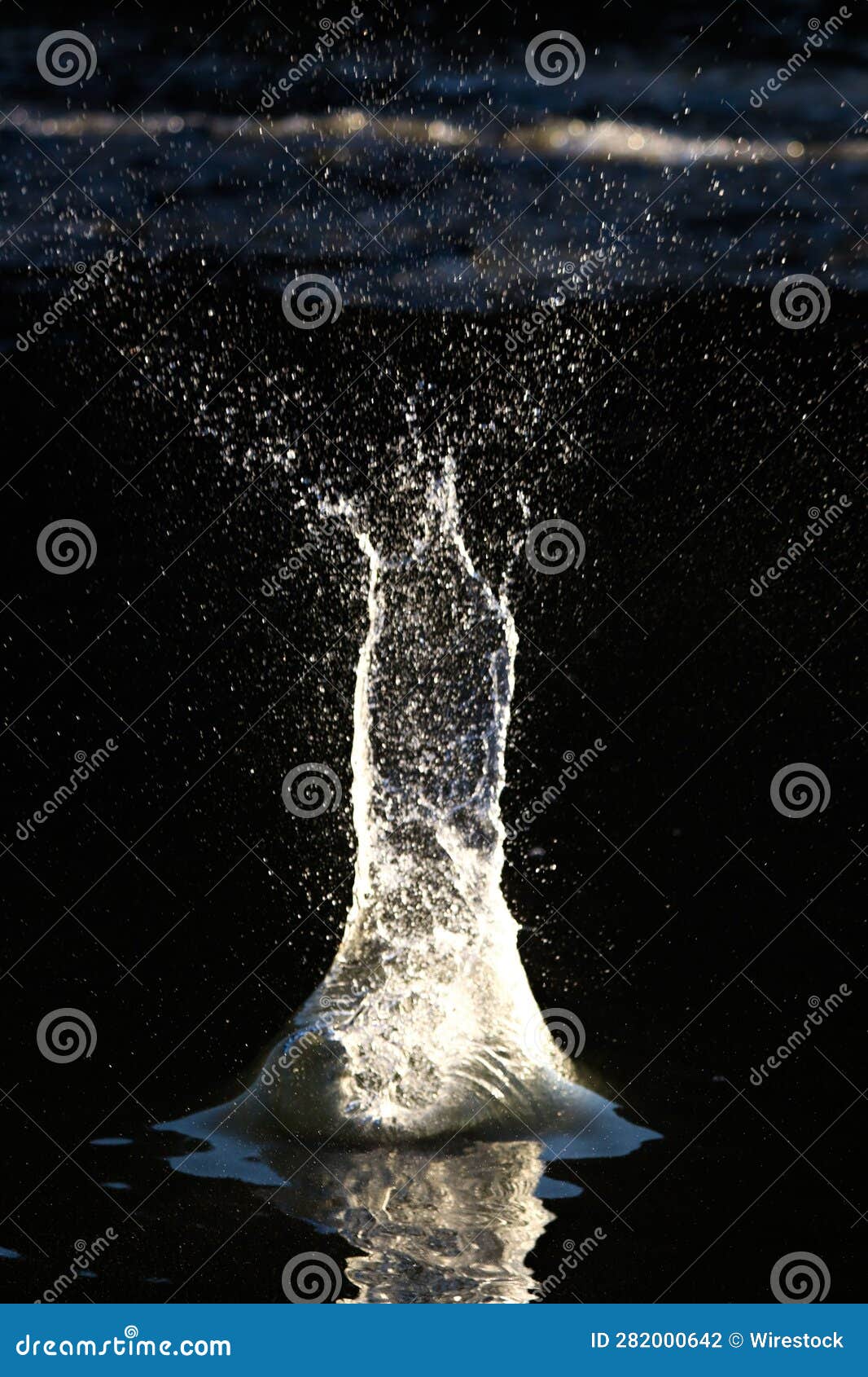A Water Splash is Coming Out from the Ocean Surface at Night Stock ...