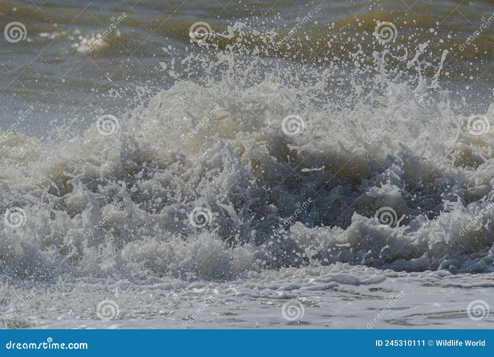 Powerful Wave Exploding on a Beach. Sea Storm Stock Image - Image of ...