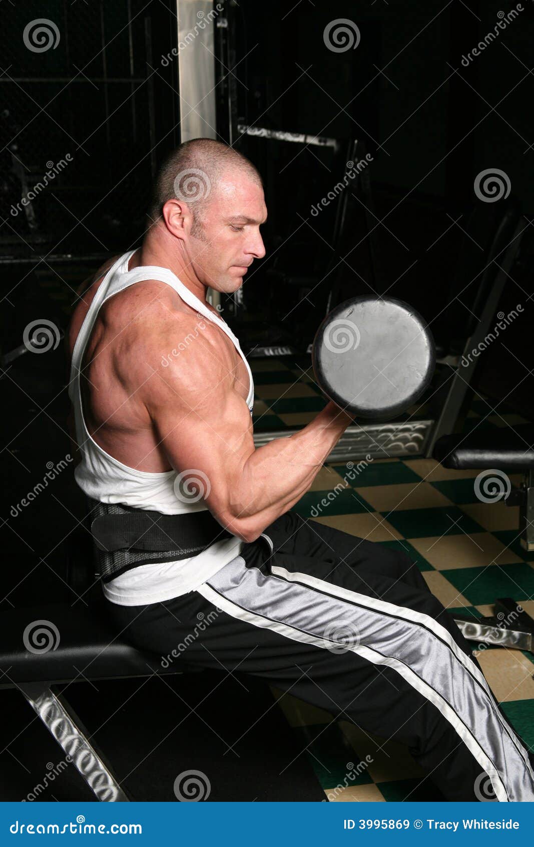 Powerhouse stock image. Image of model, masculine, athlete - 3995869