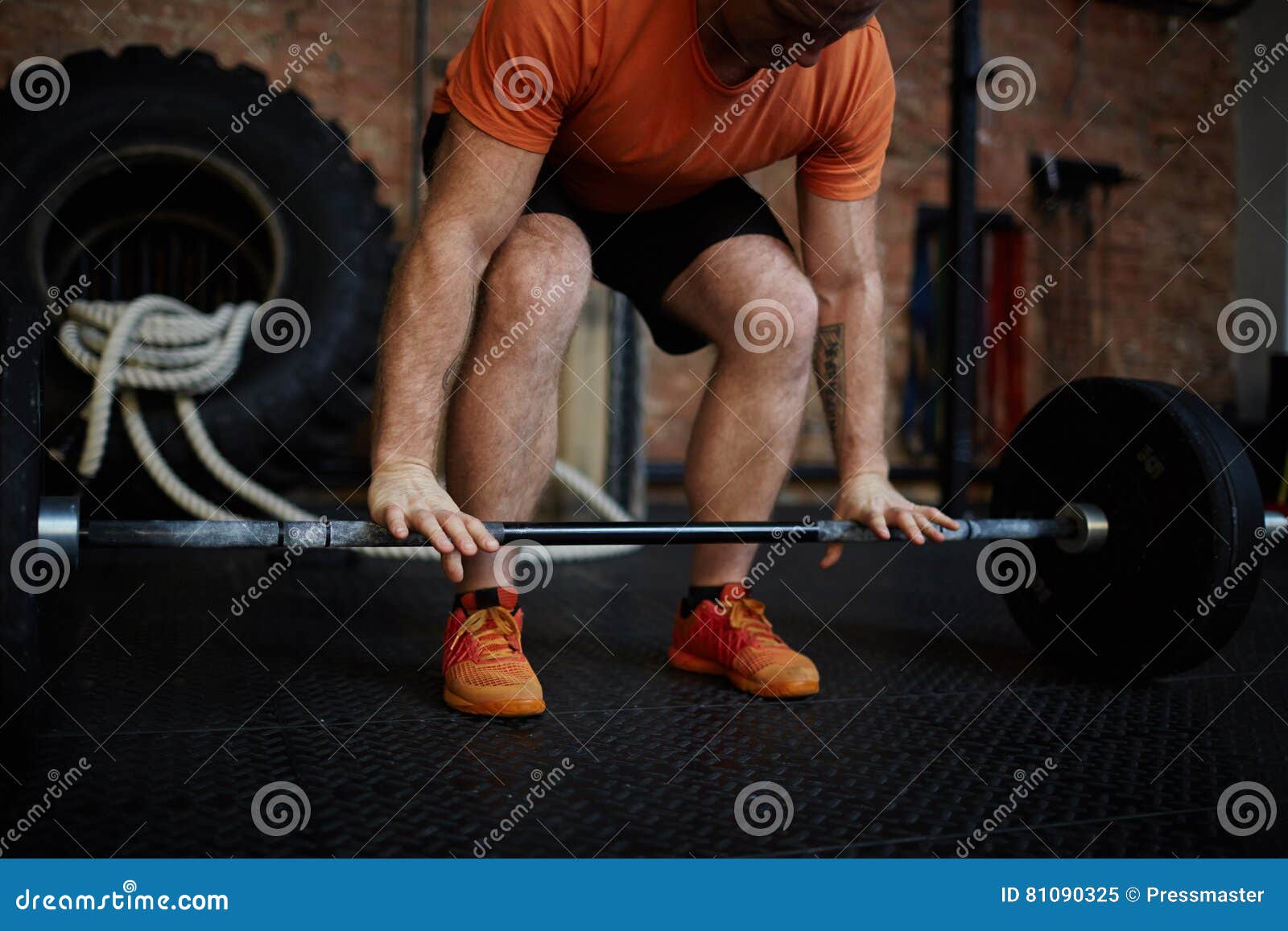 Powerlifting image stock. Image du physique, intense - 81090325