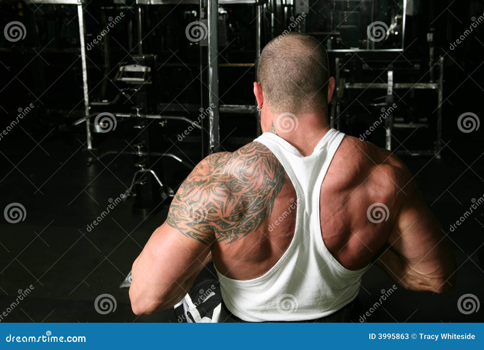 Powerline stock image. Image of face, athletic, person - 3995863