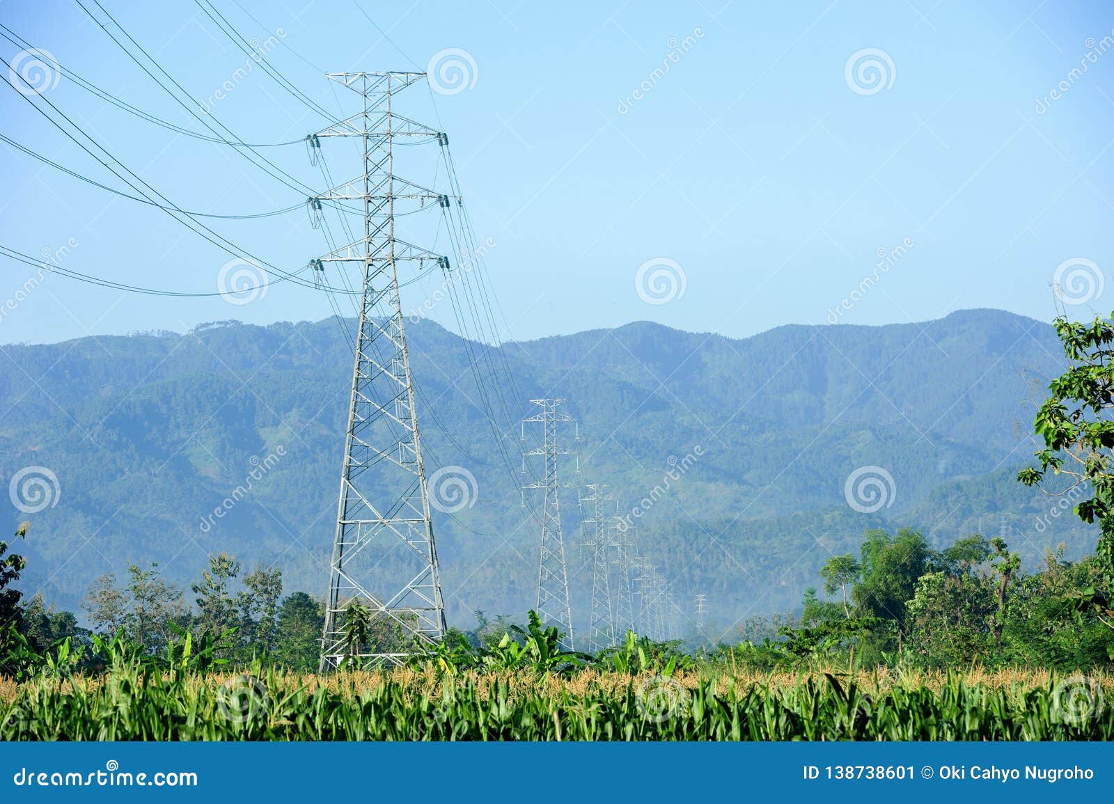 Powerline Crossing Agriculture Field Stock Image - Image of corn ...