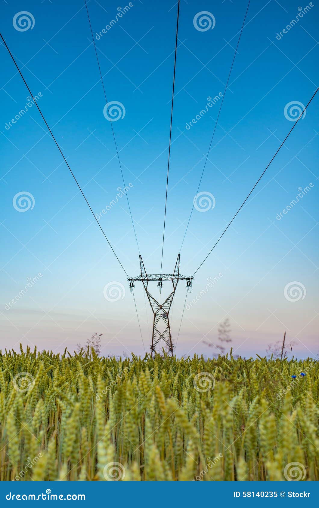 The powerline on the field stock image. Image of pole - 58140235
