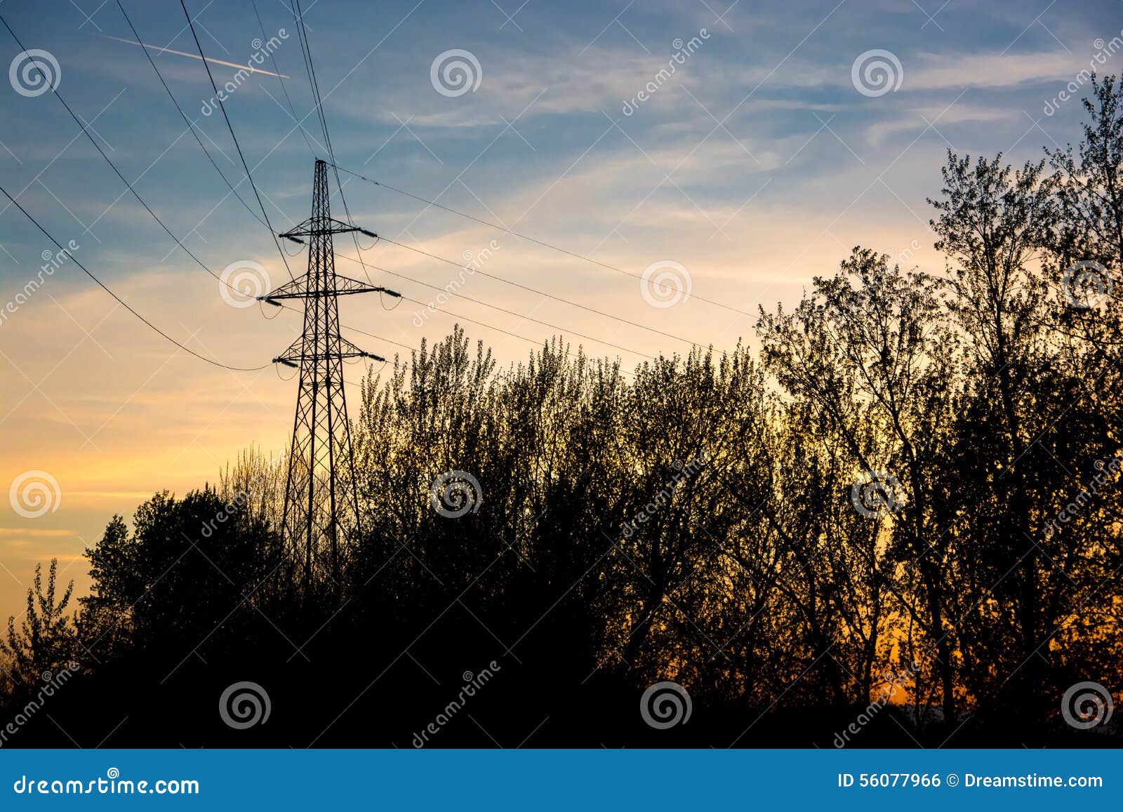 Powerline silhouette stock photo. Image of sunset, trees - 56077966