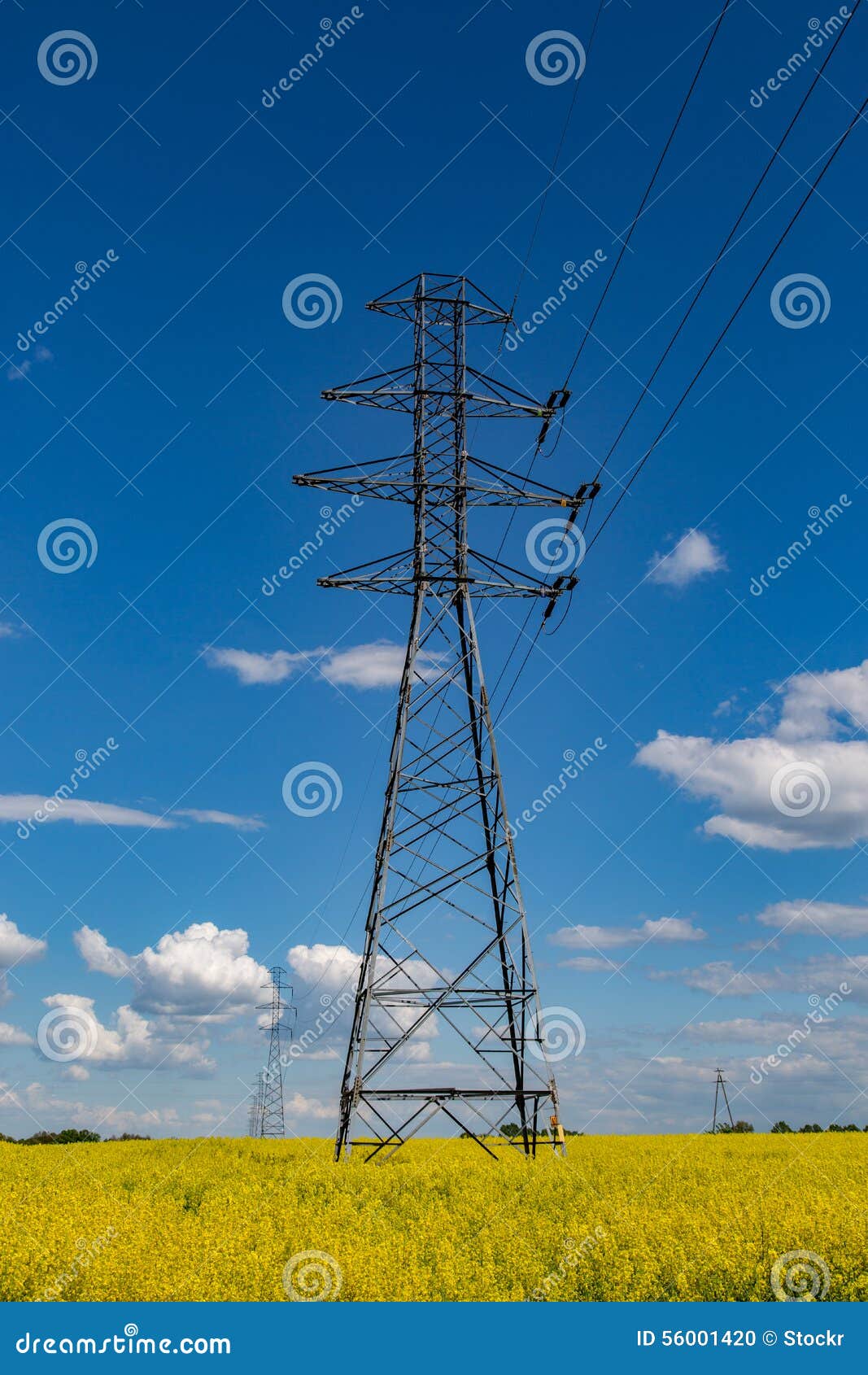 Powerlines on field stock photo. Image of countryside - 56001420