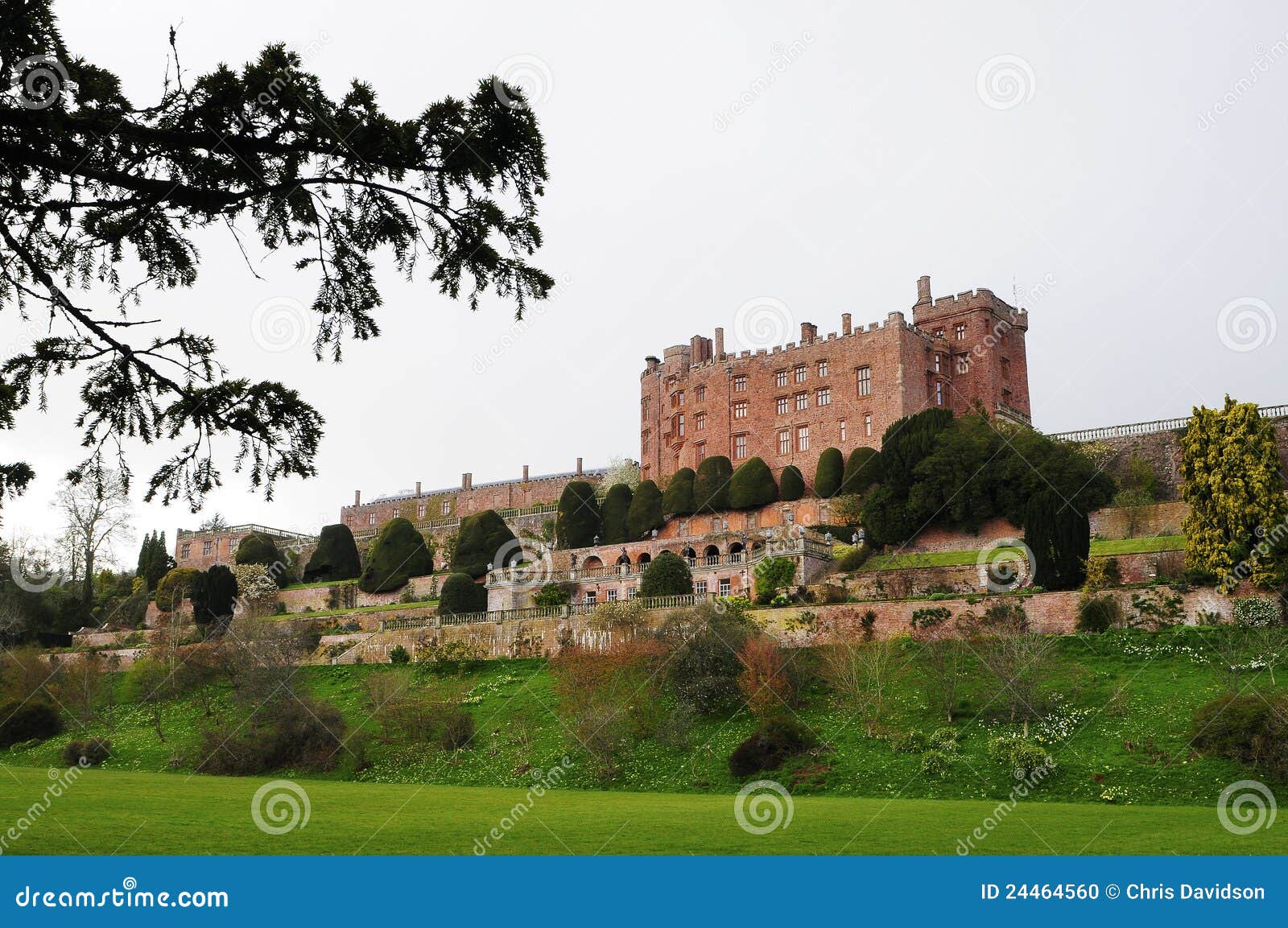 Powys Castle stock photo. Image of castle, countryside - 24464560