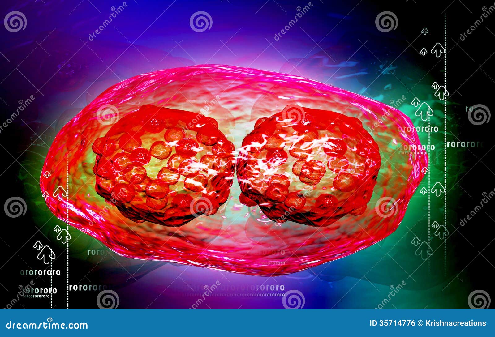 Pox virus stock illustration. Illustration of chicken - 35714776