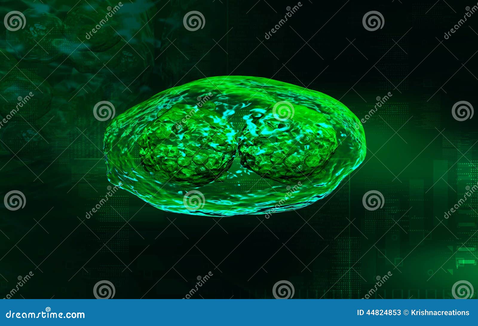 Pox virus stock illustration. Illustration of close, organ - 44824853