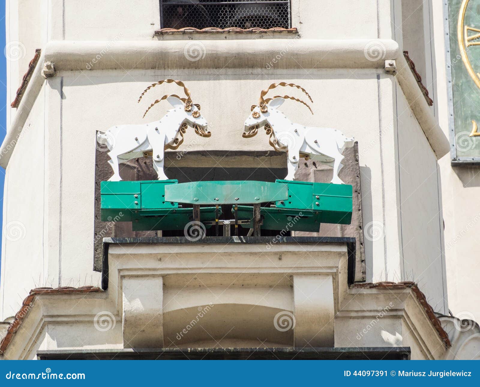 Poznan Goats stock image. Image of renaissance, hall - 44097391