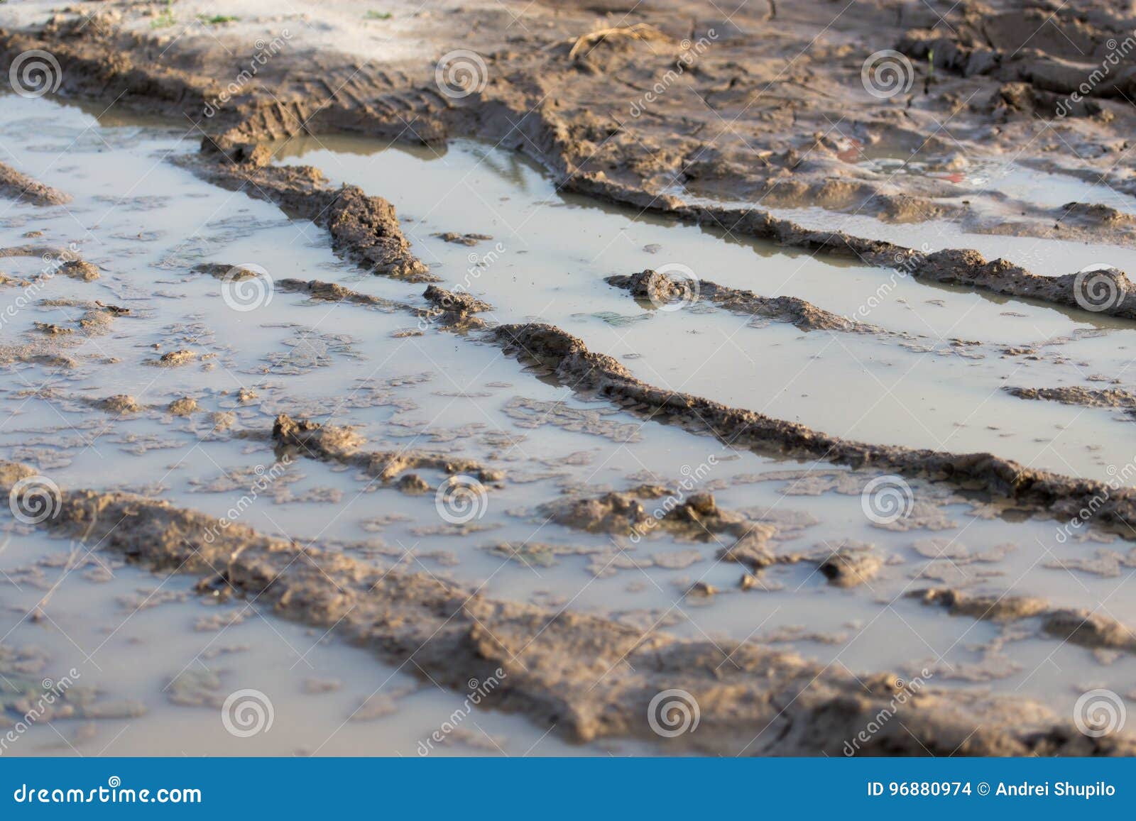 Pozza Di Fango Su Una Strada Non Asfaltata Fotografia Stock - Immagine ...