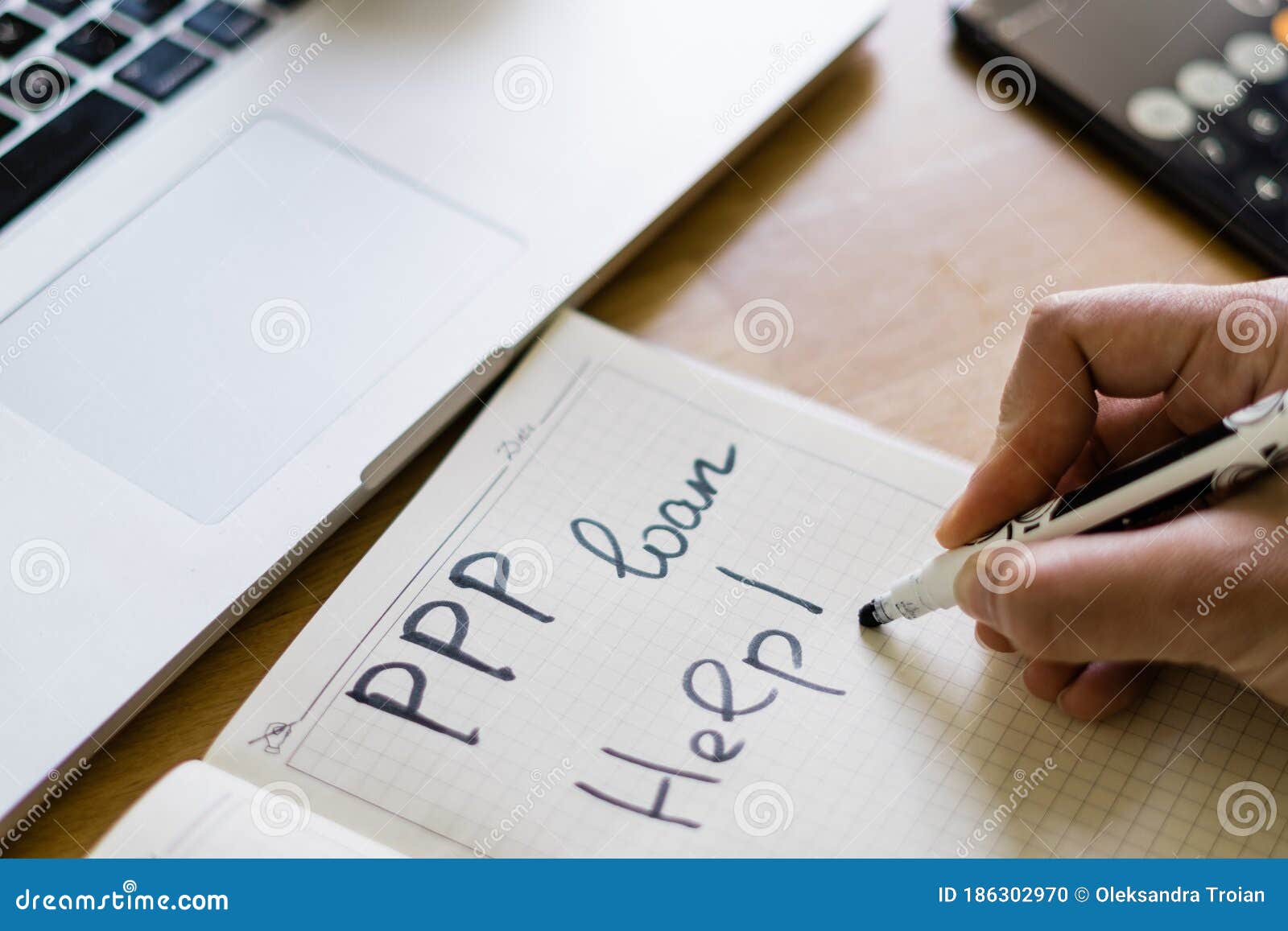 PPP Loans, Paycheck Protection Program. Small Business Help during ...