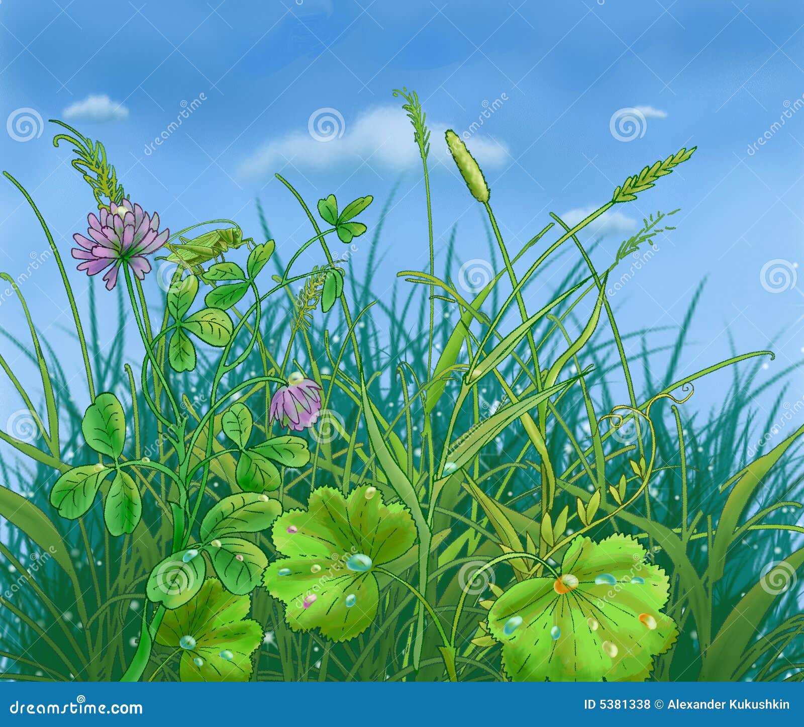 Pré illustration stock. Illustration du matin, rosée, floral - 5381338