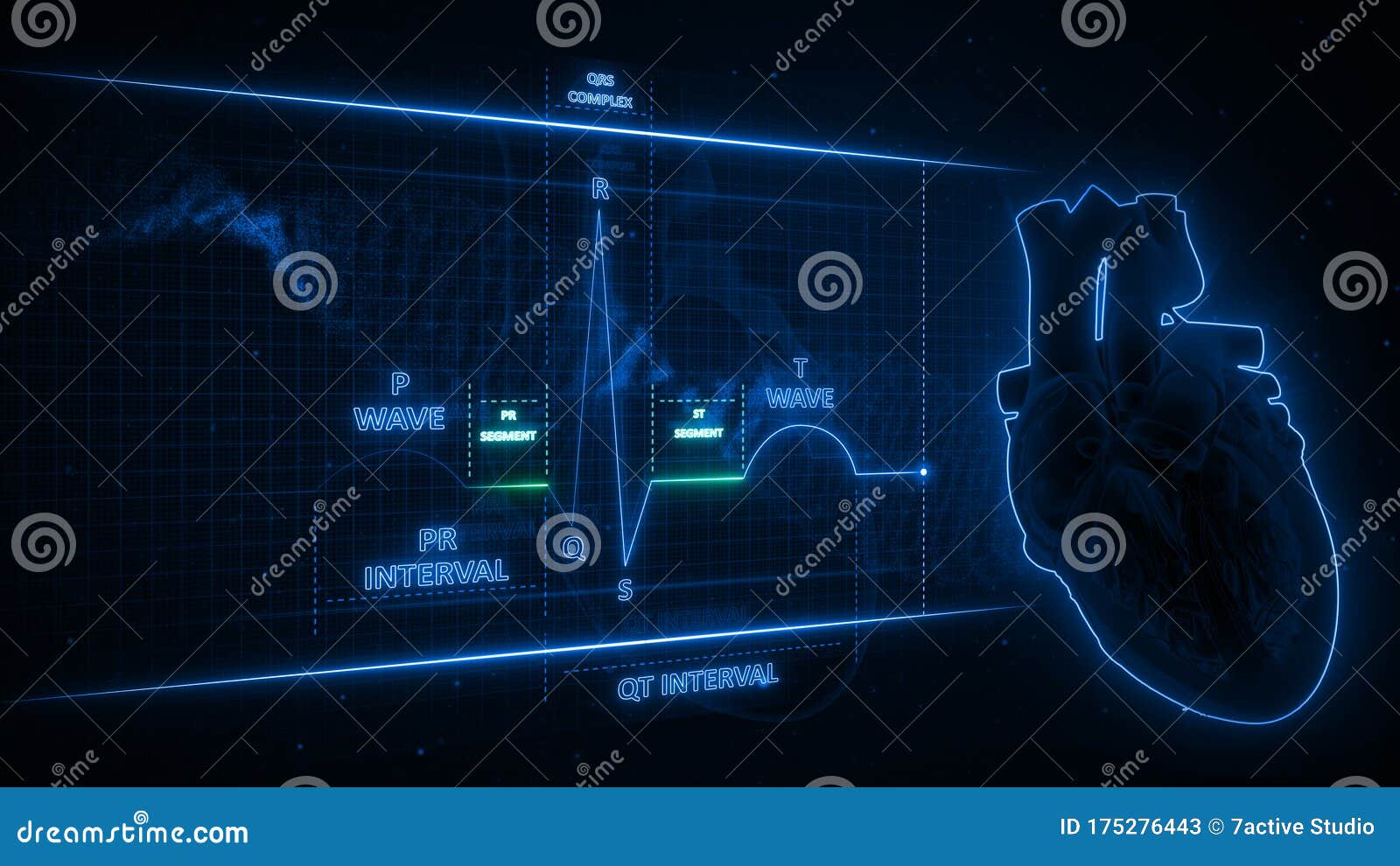 PR and ST Segment from Electrocardiogram Wave or ECG or EKG Stock ...