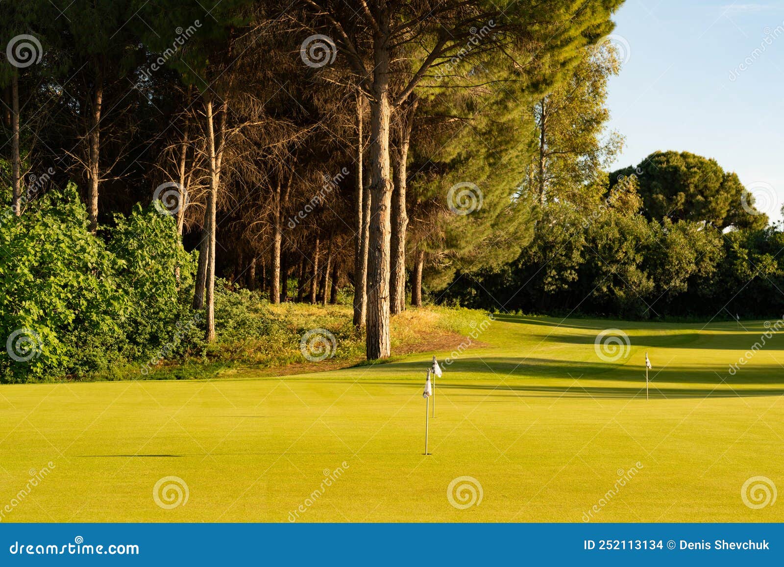 Practice Golf Course with Multiple Holes with Flags Stock Photo - Image ...