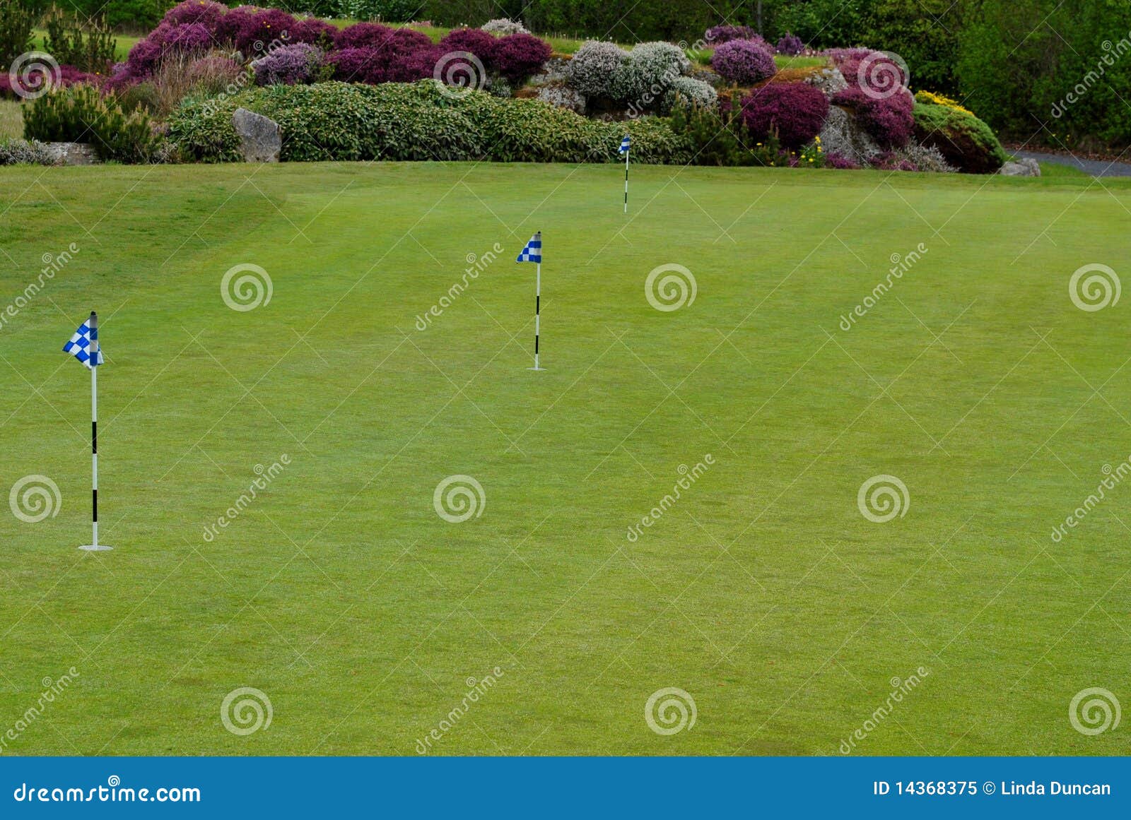 Practice green stock image. Image of activity, flag, mauve - 14368375