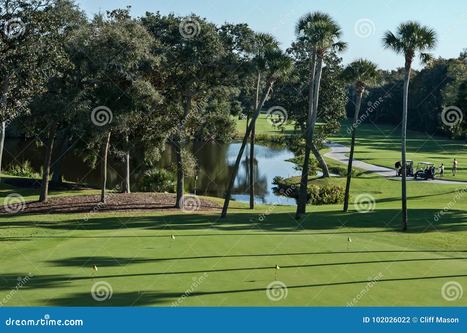 PRACTICE PUTTING GREEN stock photo. Image of sport, green - 102026022