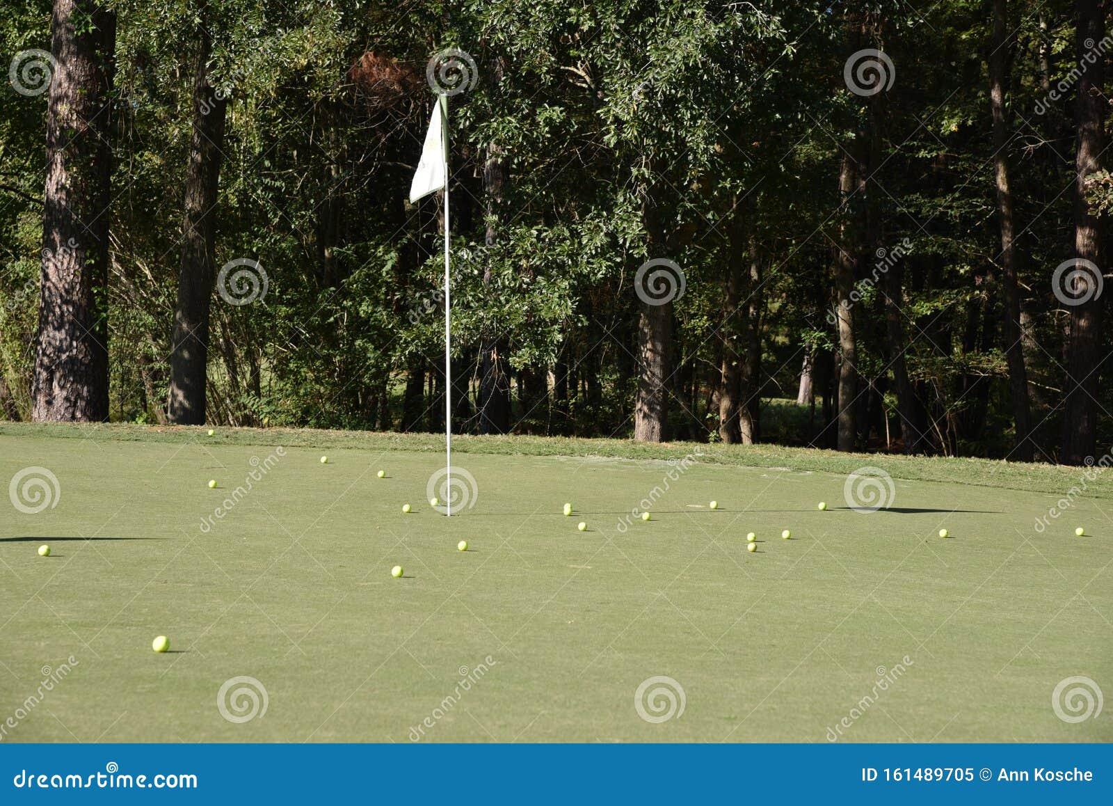 Practice Putting Green with Multiple Golf Balls on a Sunny Day. Stock ...