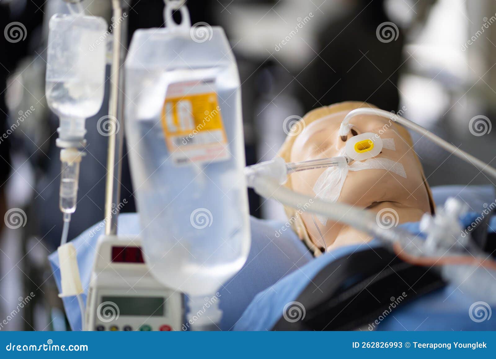 Practice Treating Patients Using Medical Models Stock Image - Image of ...