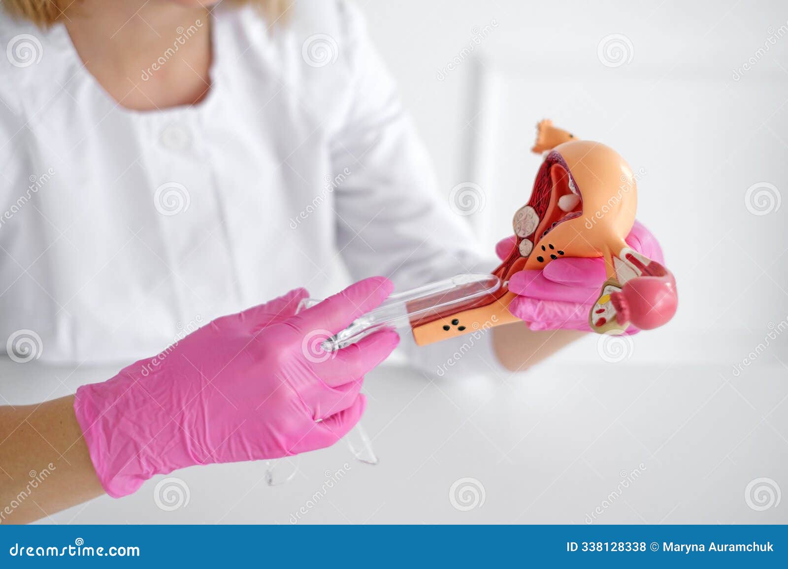 A Practicing Gynecologist Shows Students the Process of Introducing ...