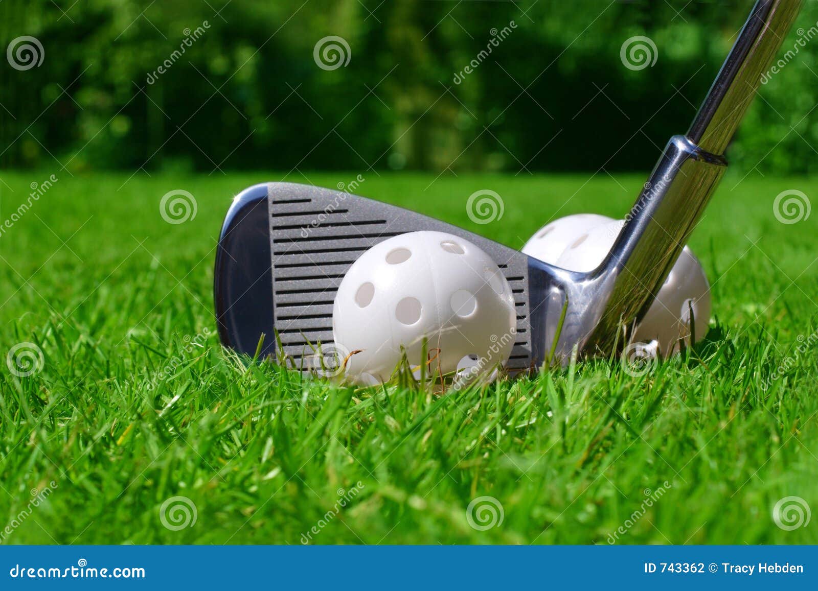 Practique La Pelota De Golf Foto de archivo - Imagen de exuberante ...