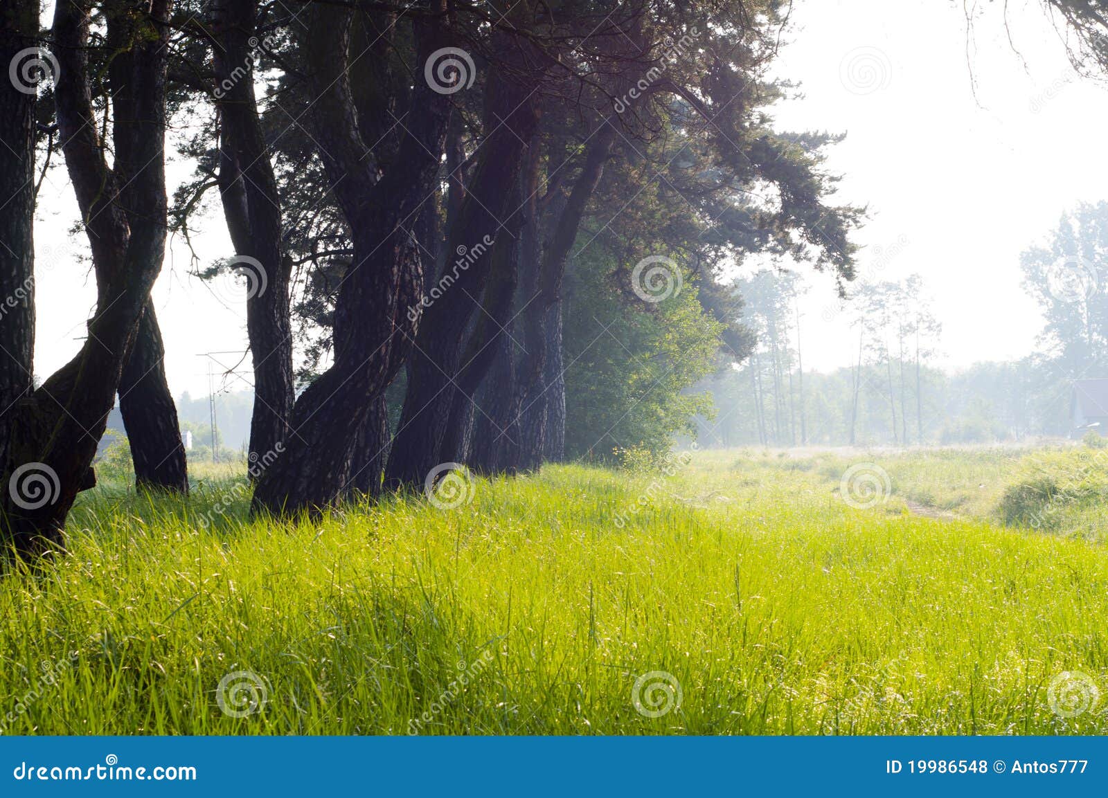 Prado foto de archivo. Imagen de exterior, idilio, soledad - 19986548