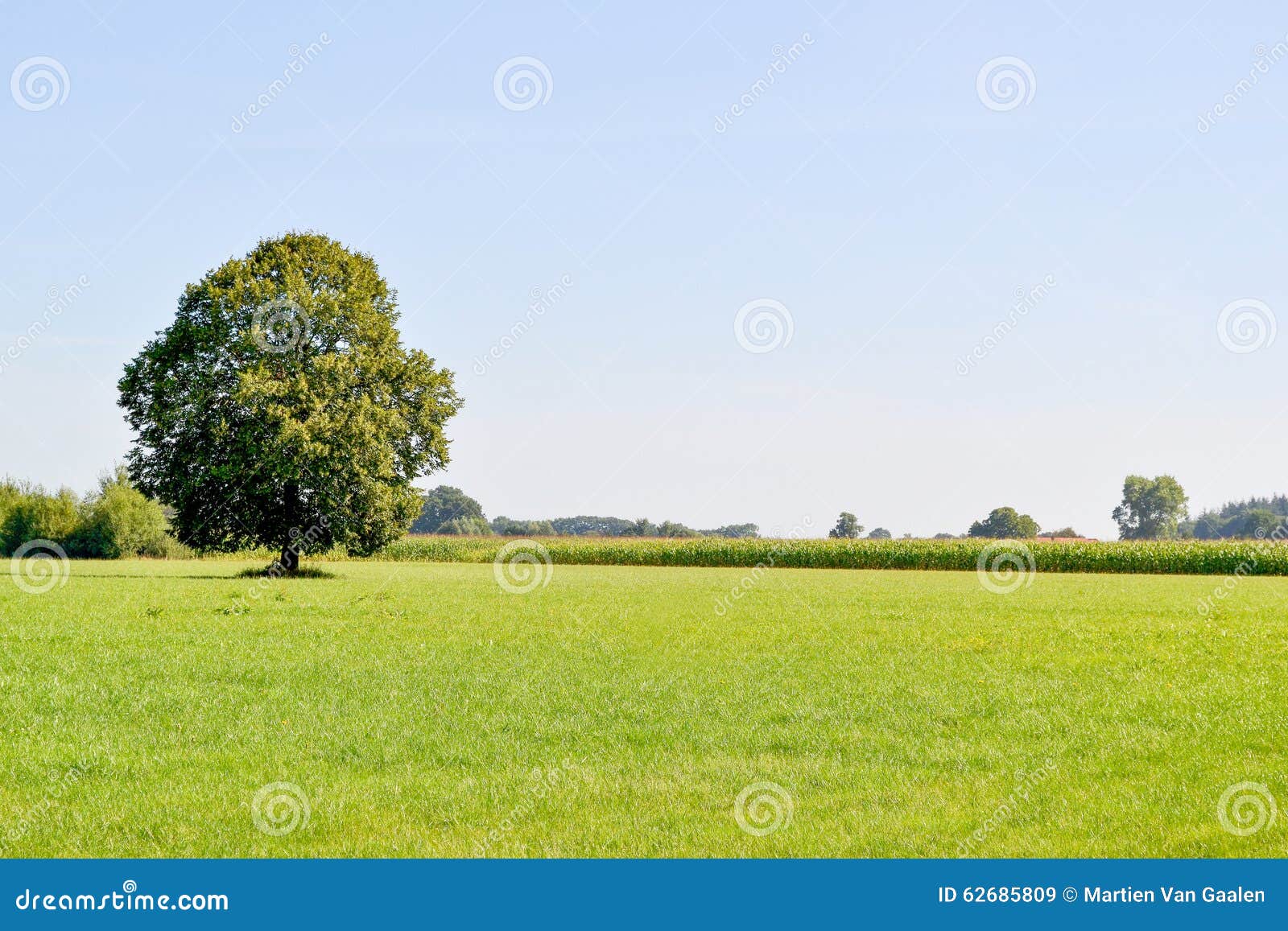 Prado imagen de archivo. Imagen de neerlandeses, campo - 62685809
