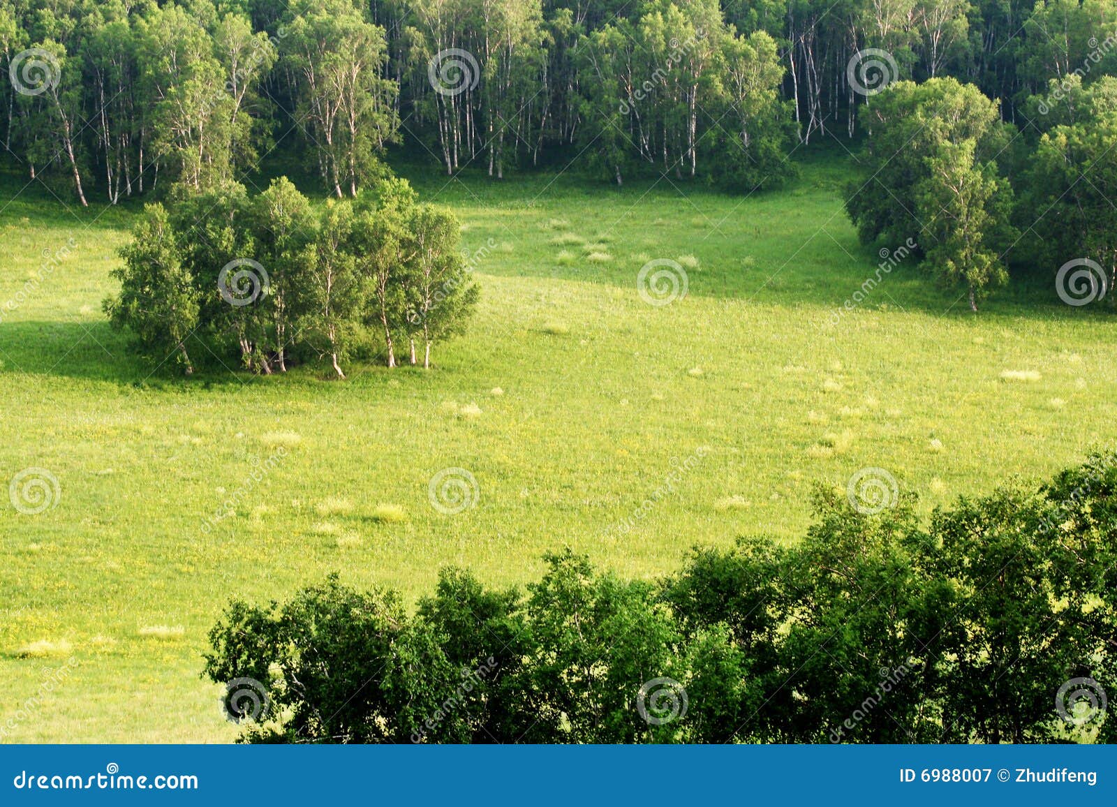 Prado imagen de archivo. Imagen de paisajes, cielo, hierba - 6988007