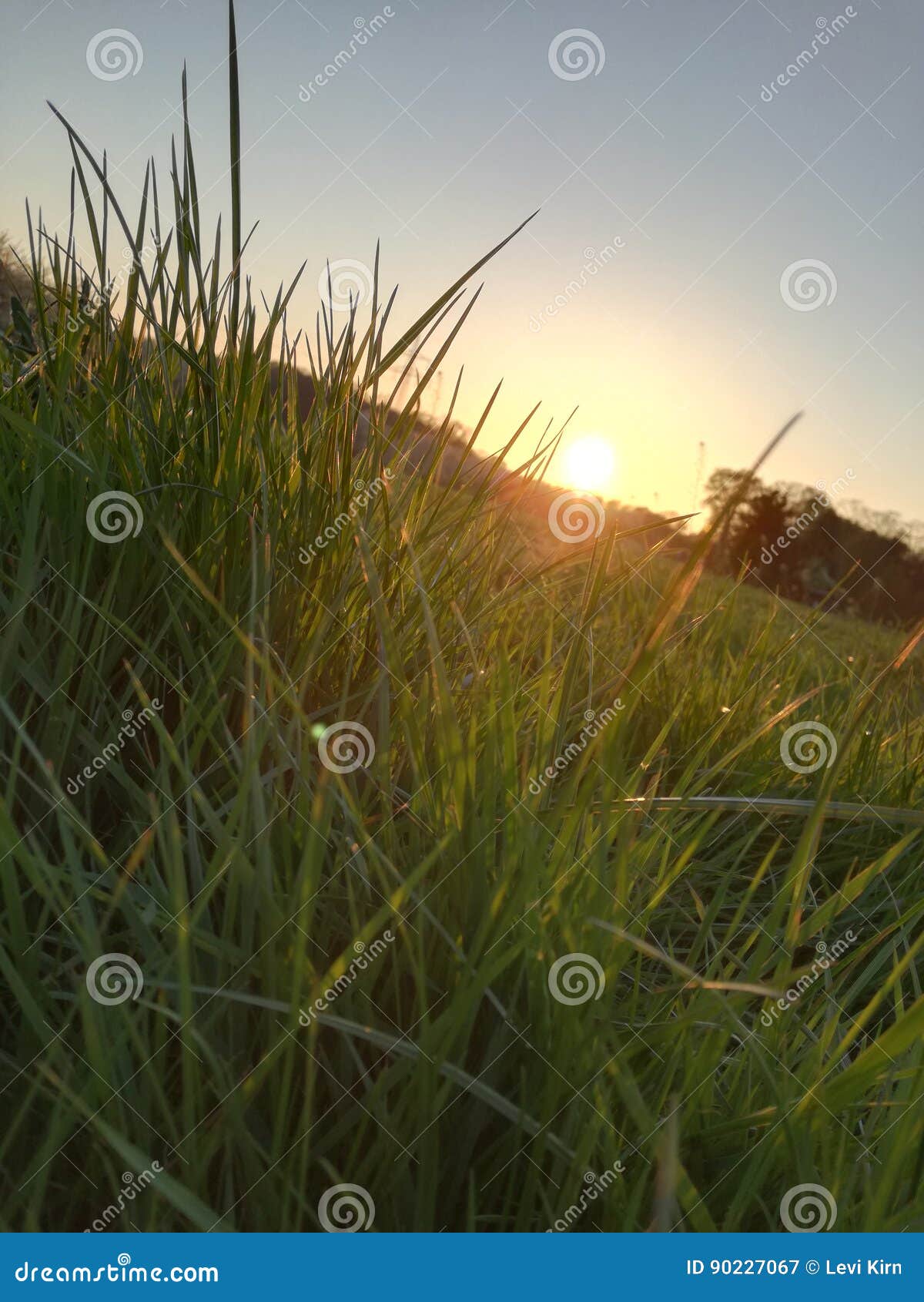 Prado imagen de archivo. Imagen de prado, agradable, tarde - 90227067