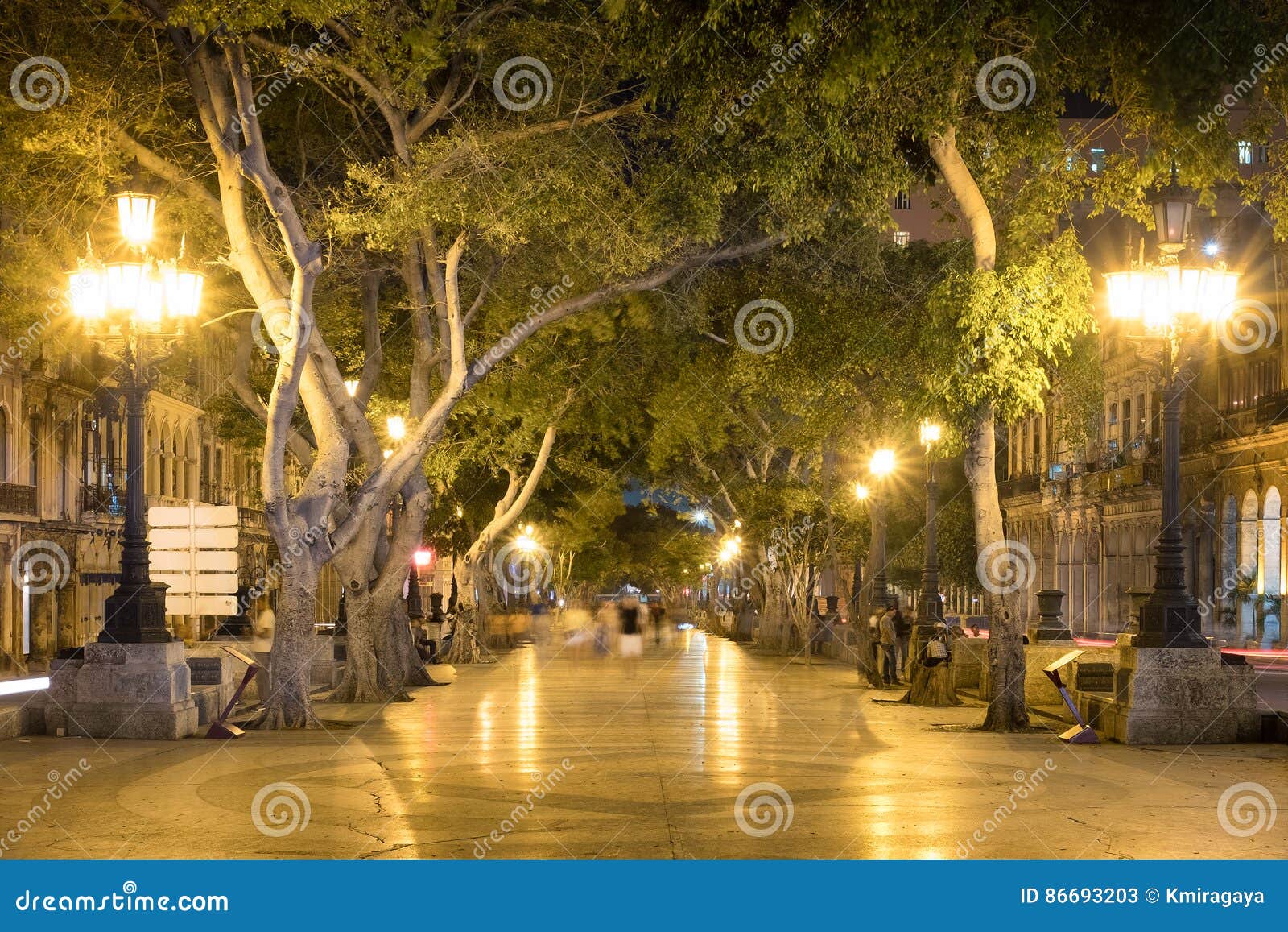 The Prado Boulevard in Downtown Havana at Night Stock Image - Image of ...