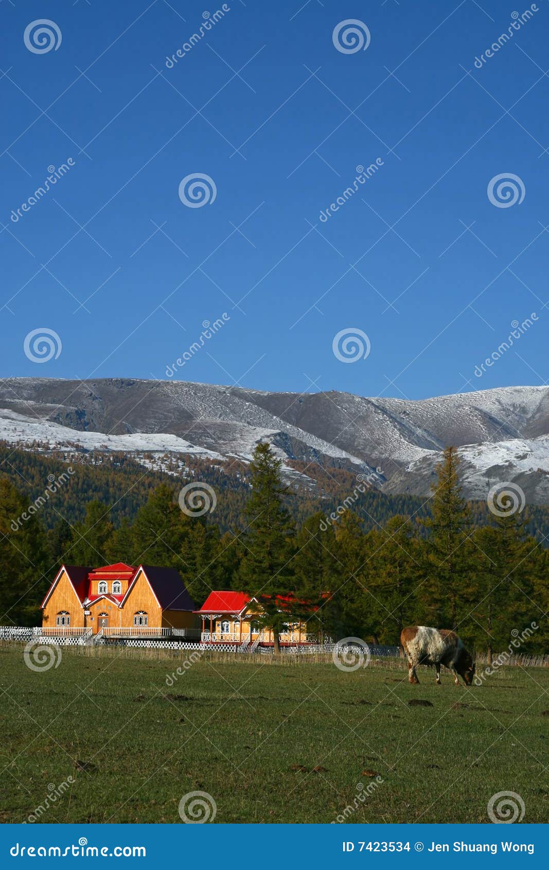 Prado de Balikun foto de archivo. Imagen de blanco, nube - 7423534