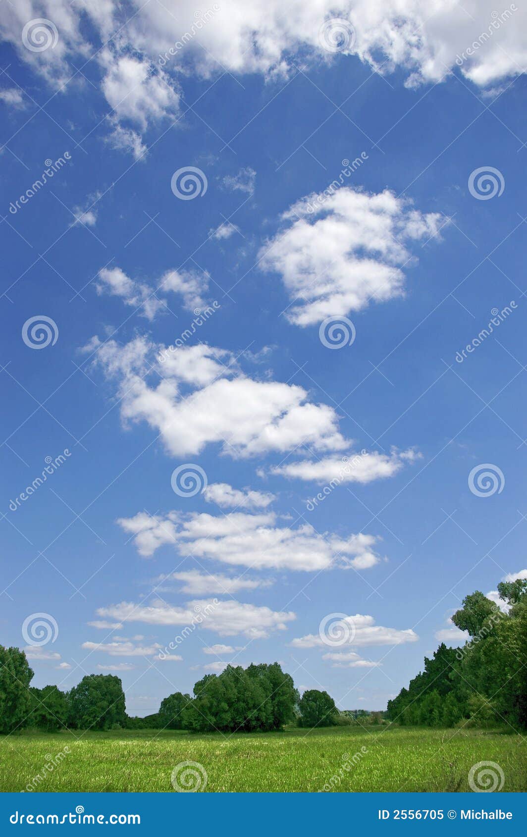 Prado Del Resorte Y Cielo Azul Imagen de archivo - Imagen de nube ...