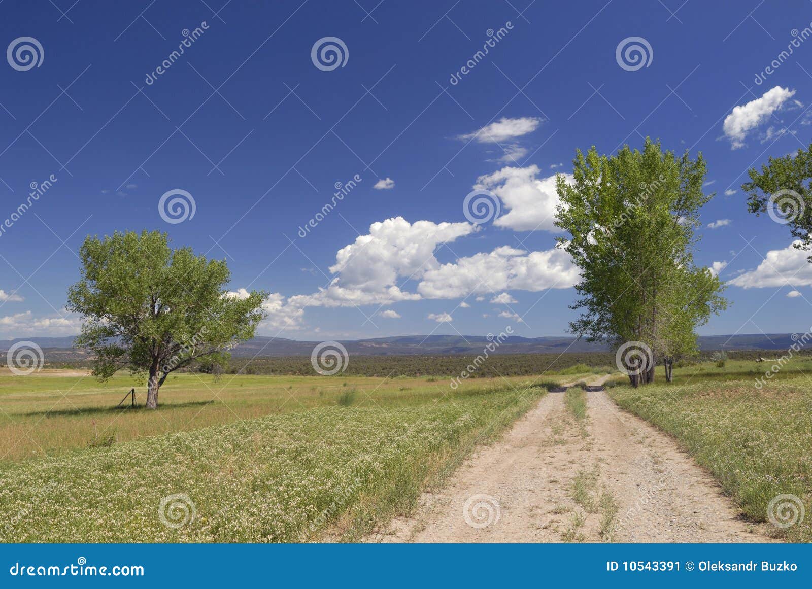 Prado Del Verano En Colorado Occidental Imagen de archivo - Imagen de ...