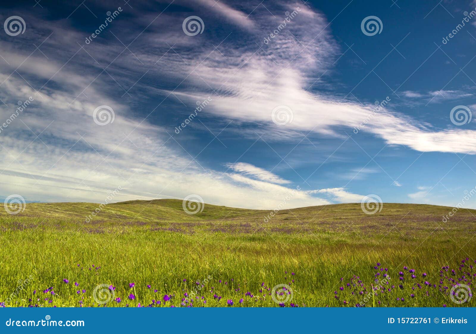 Prado verde imagen de archivo. Imagen de paisaje, fondo - 15722761