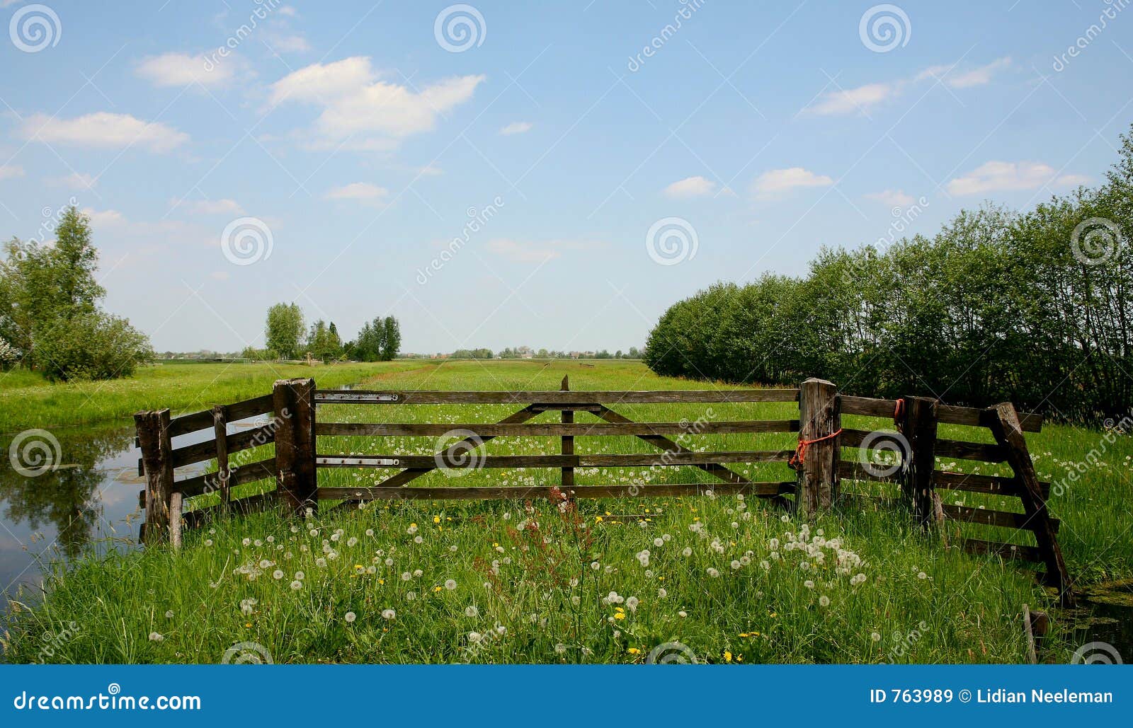 Prado verde imagem de stock. Imagem de paisagem, campos - 763989