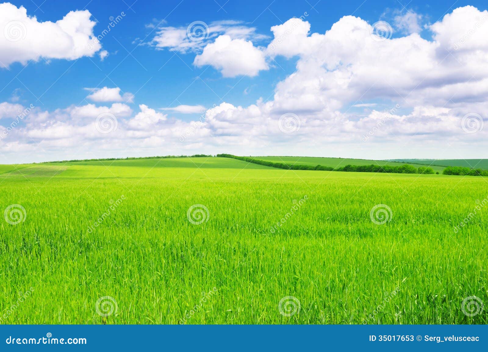 Prado Verde De La Primavera Imagen de archivo - Imagen de verde, pista ...