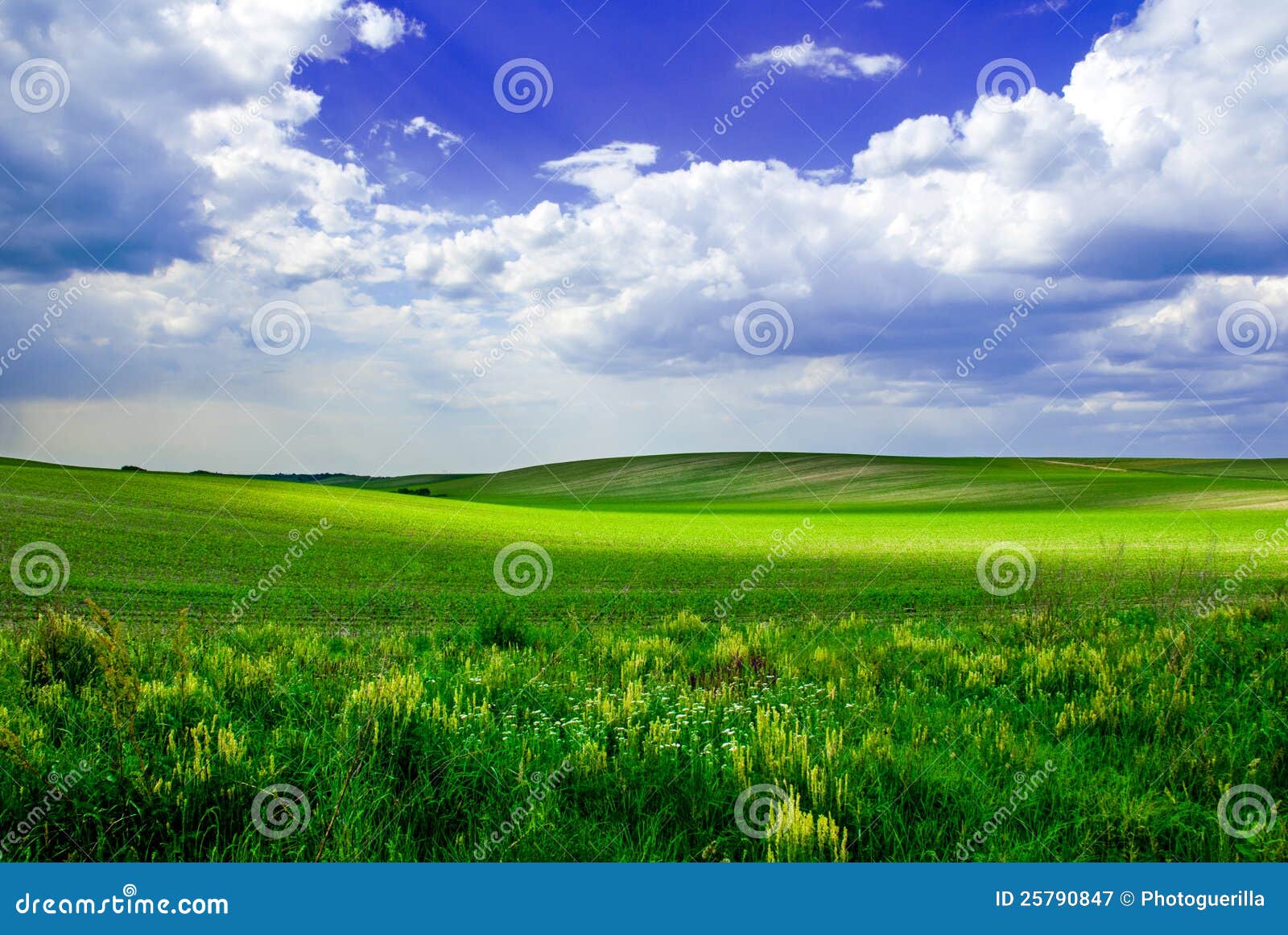 Prado verde hermoso imagen de archivo. Imagen de azul - 25790847