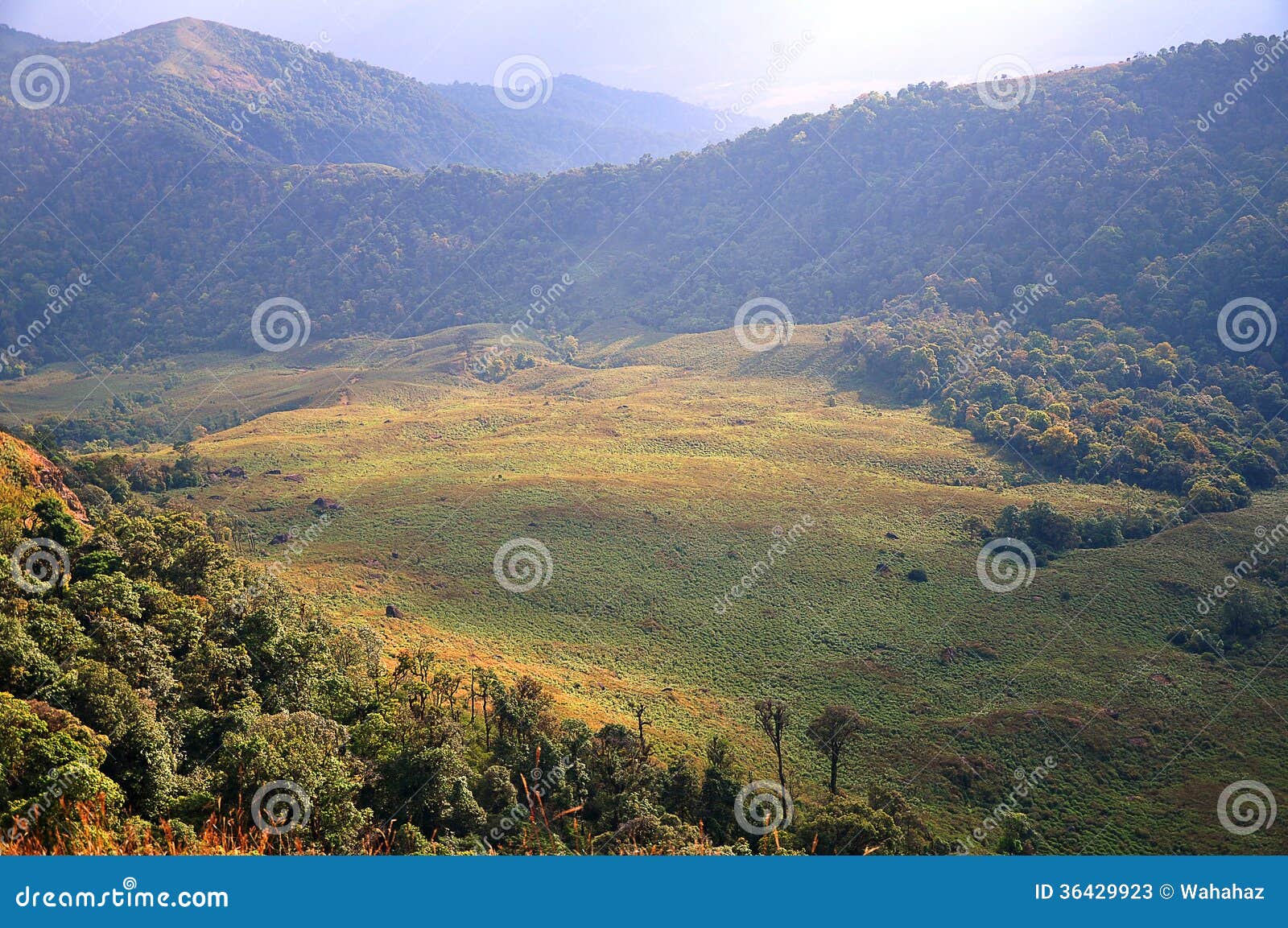 Prados imagen de archivo. Imagen de hermoso, resorte - 36429923