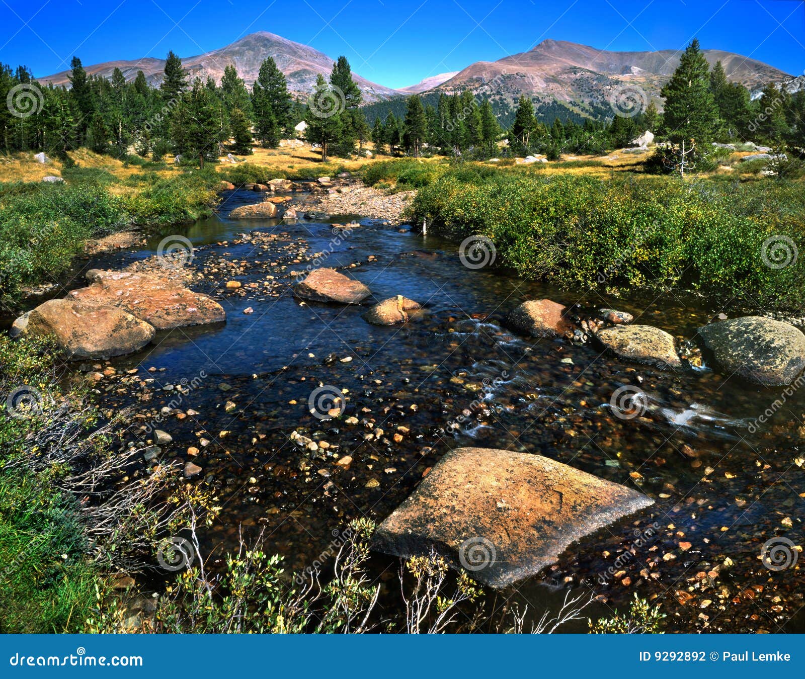 152,884 Prados Fotos - Libres de Derechos y Gratuitas de Dreamstime