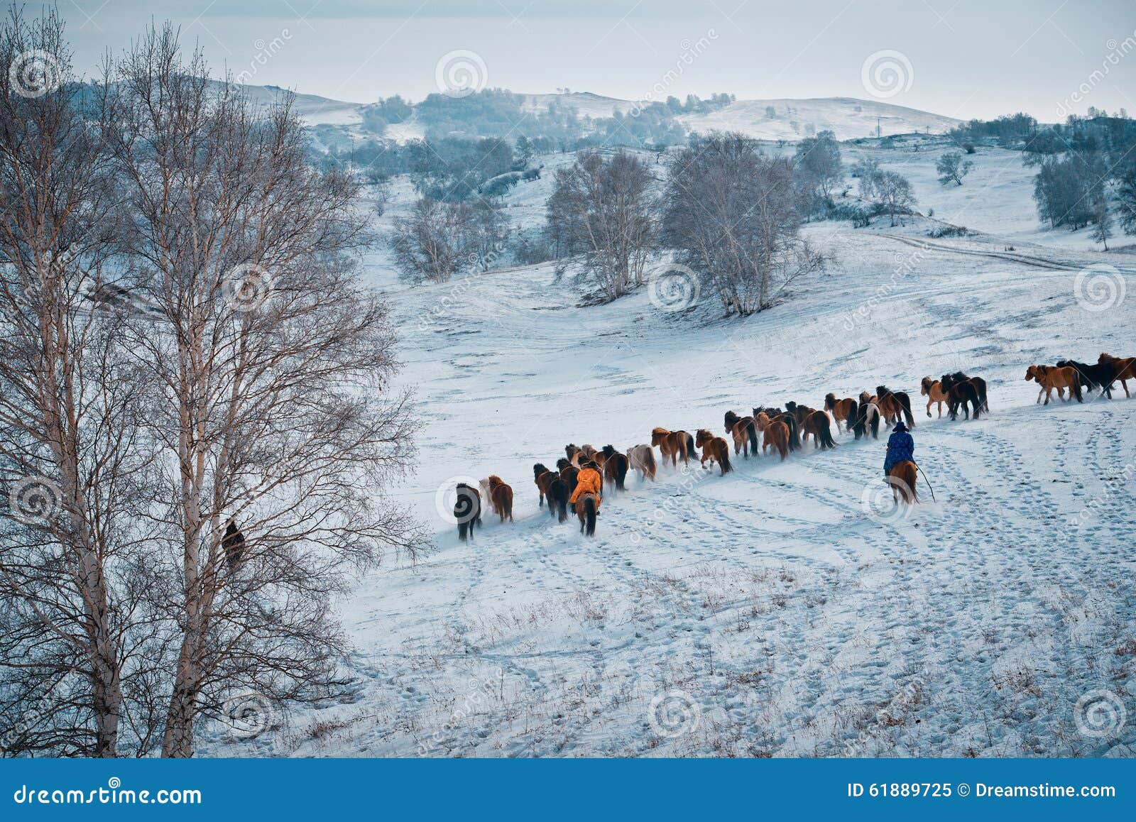Prados De Ulan Buh En Invierno Imagen editorial - Imagen de mongol ...