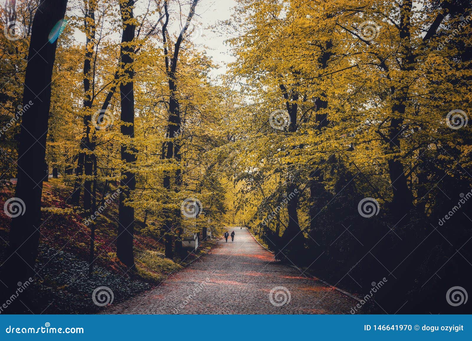 Prague forest road stock photo. Image of colors, sunset - 146641970