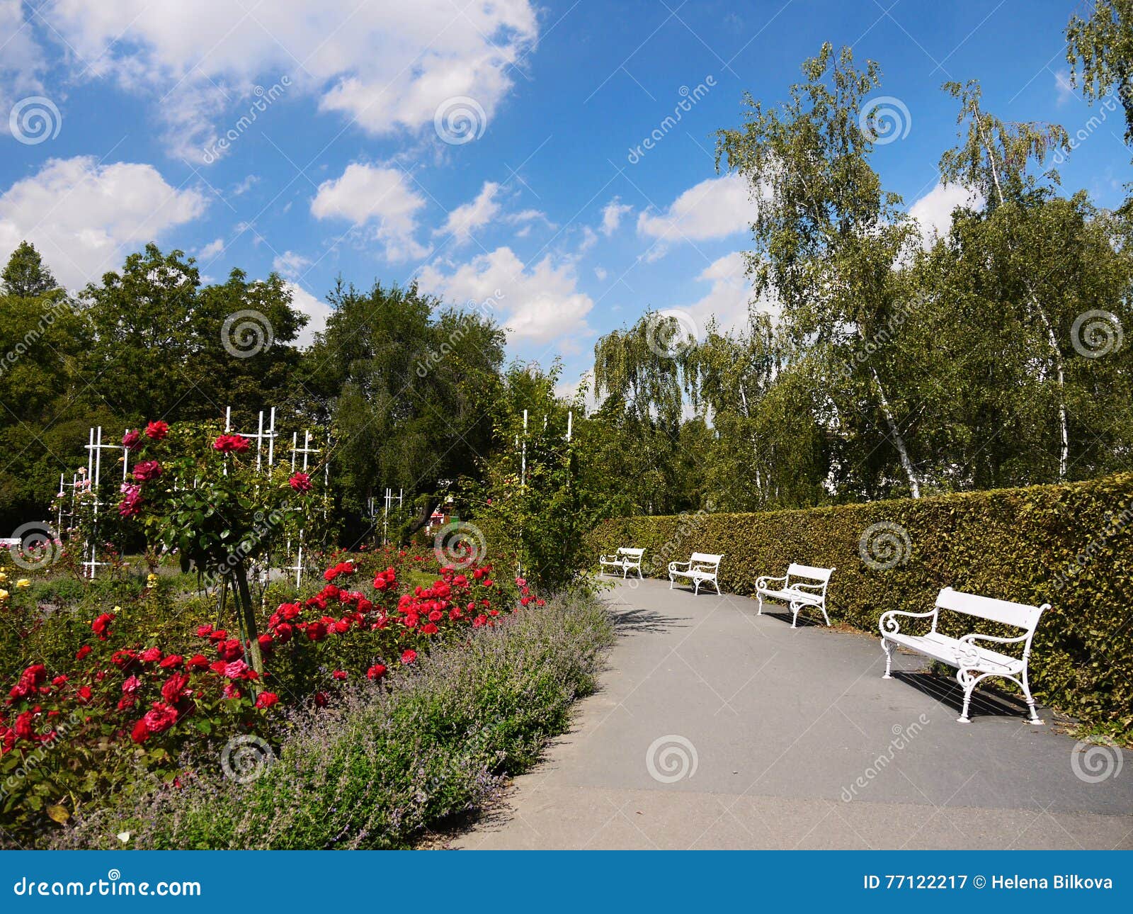 Praga, parque de Petrin fotografia editorial. Imagem de czeche - 77122217