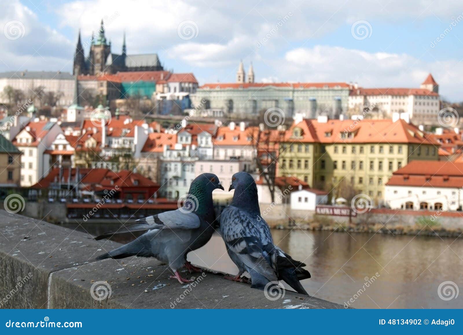 Prague Castle View from the Charles Bridge Stock Photo - Image of ...