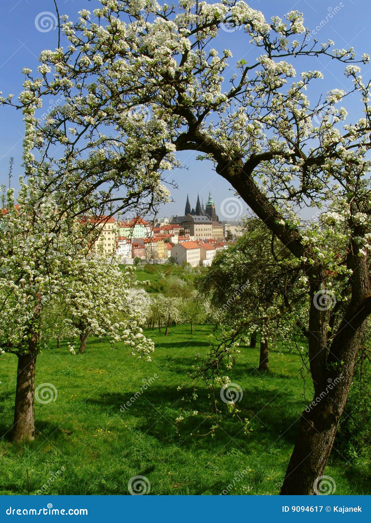 Prague Gothic Castle with Flowering Trees Stock Image - Image of palace ...