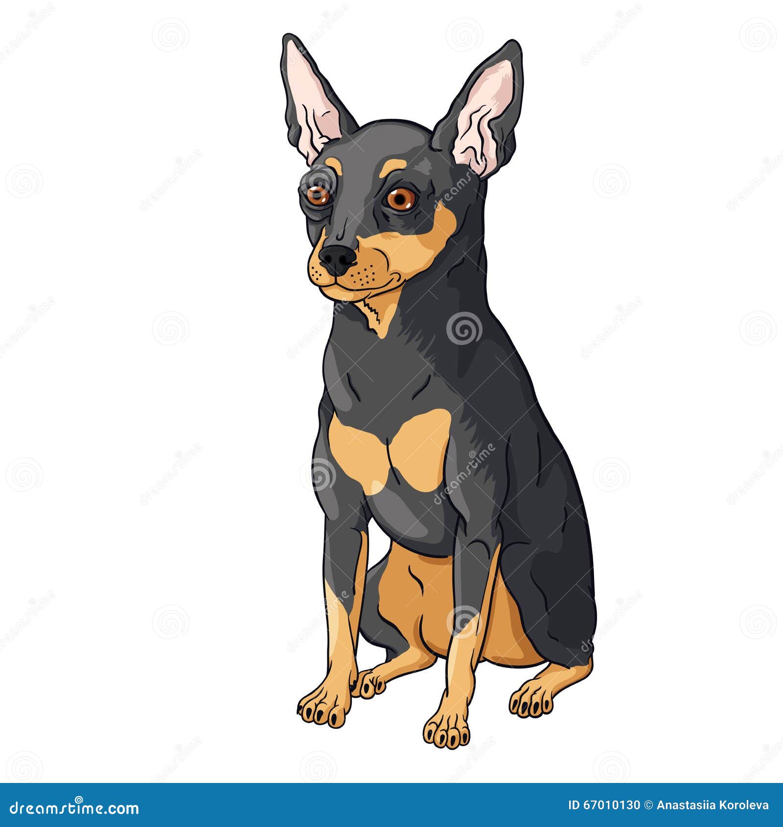 Prague ratter stock vector. Illustration of animal, black - 67010130