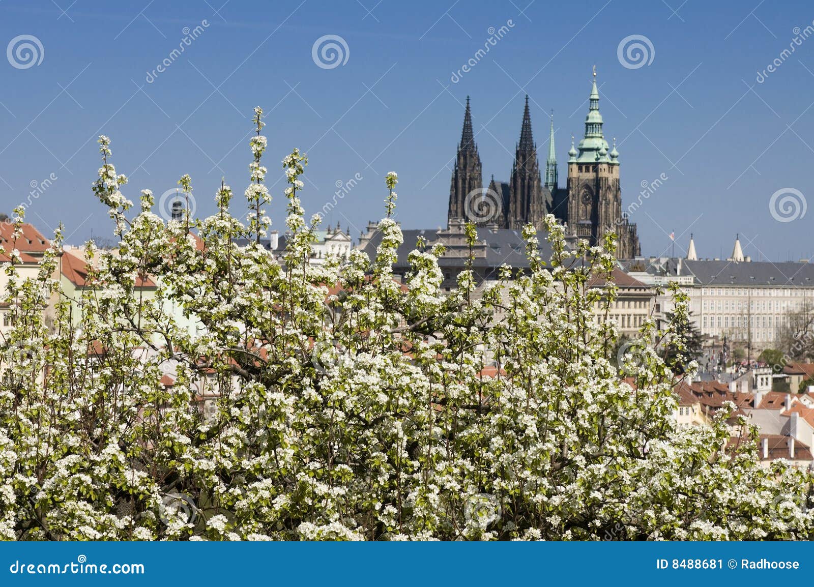 Prague spring stock image. Image of spires, saint, architecture - 8488681