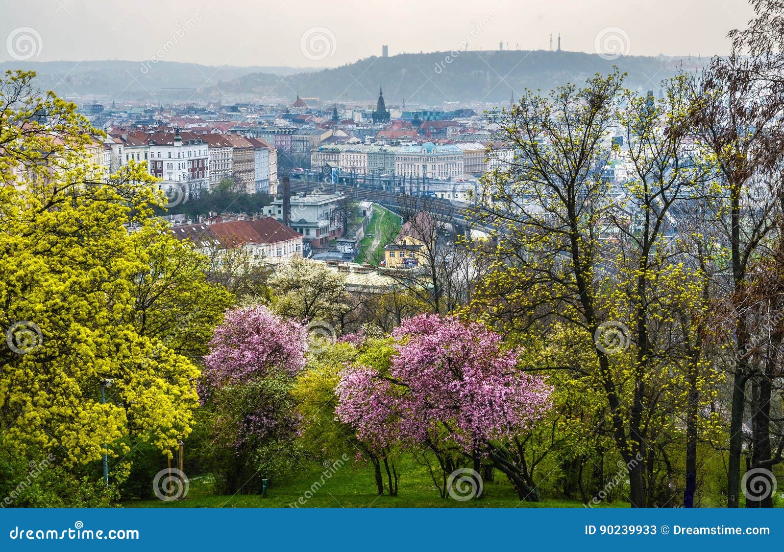 Prague- Vitkov stock image. Image of scape, tree, vitkov - 90239933