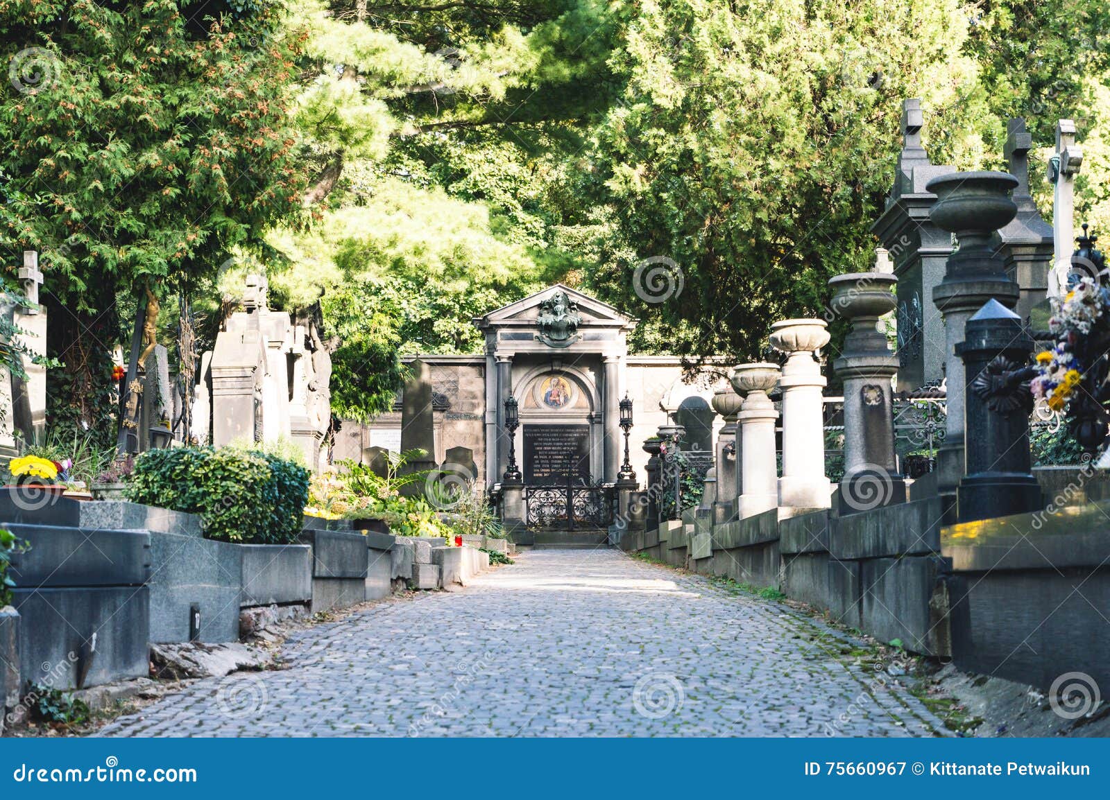 Prague - Vysehrad Cemetery editorial photography. Image of tree - 75660967