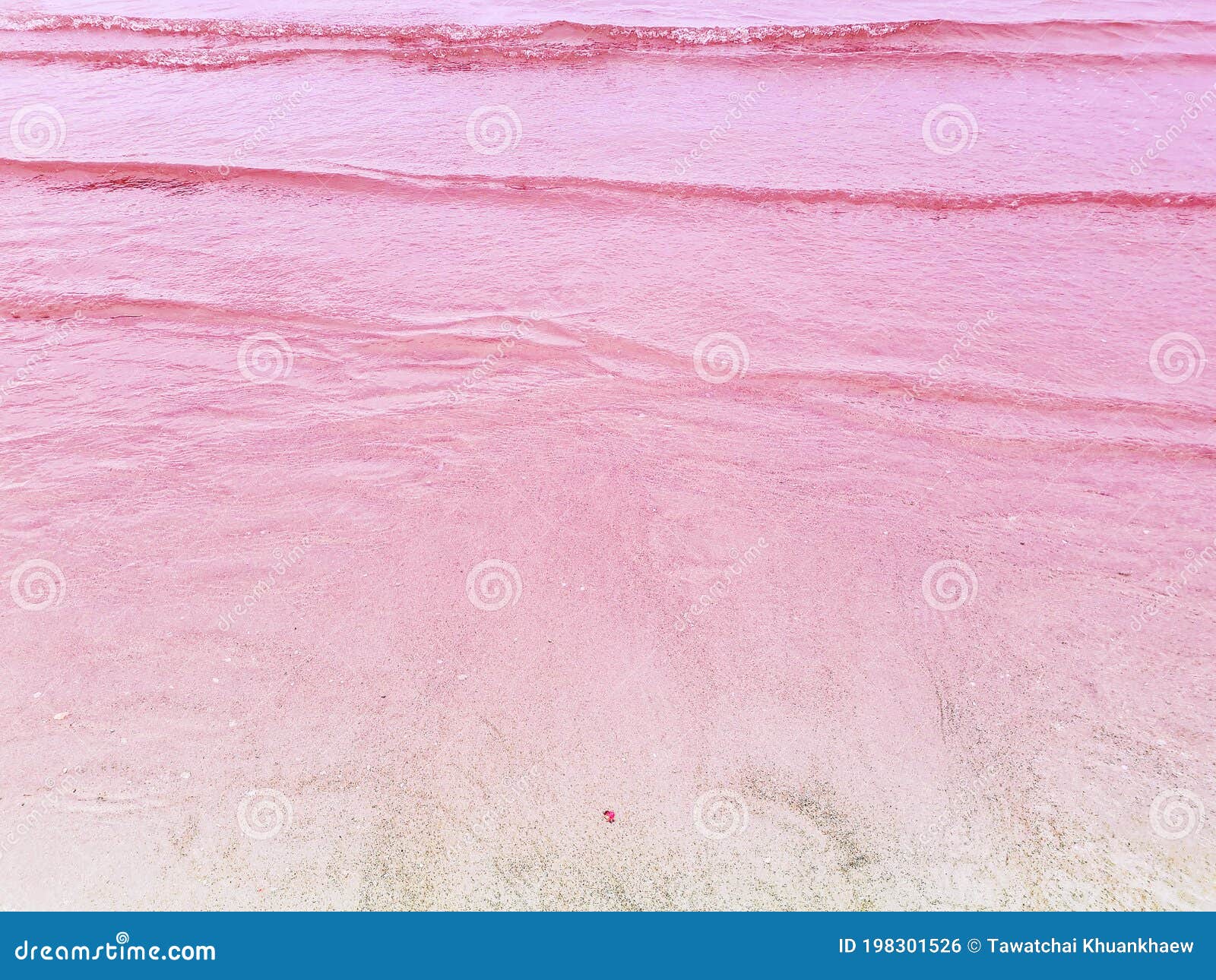 Praia Arenosa E Ondas Do Mar Cor-de-rosa Foto de Stock - Imagem de ...